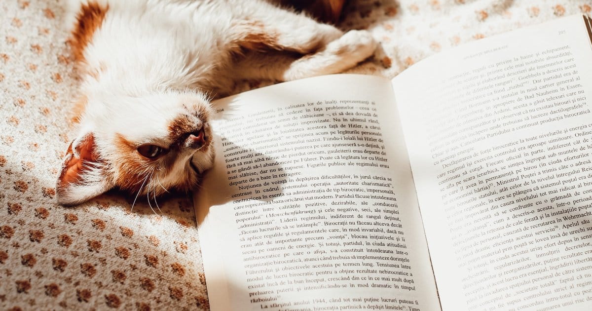 6 Animal Story Books That Will Soon Become Your Favourites