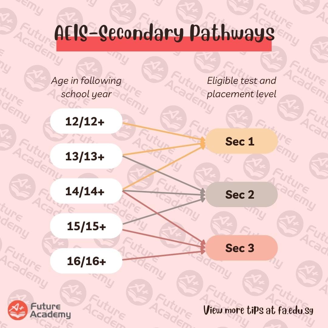 AEIS For Expats In SG: Updates To The Application Process (2022)