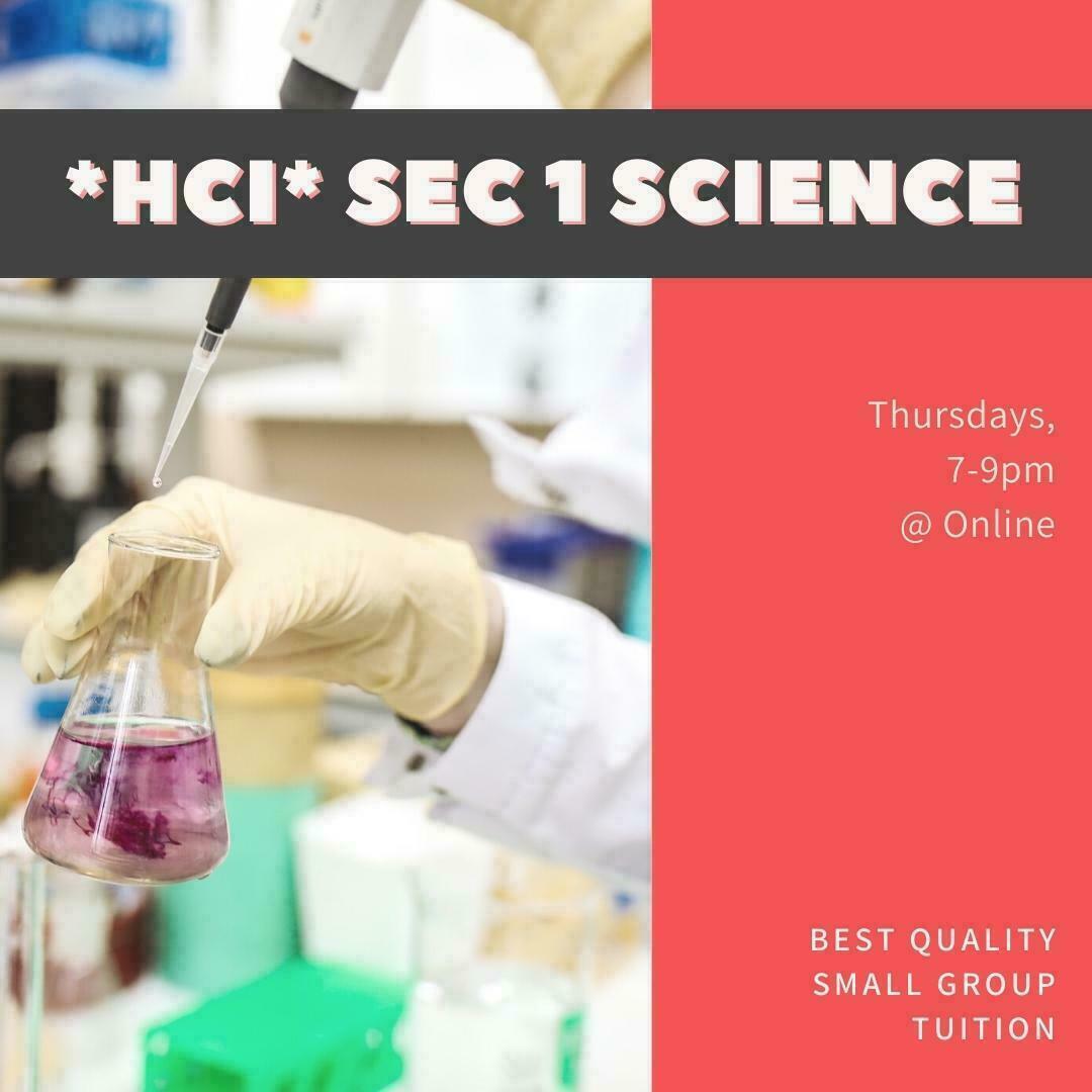 HCI & NYGH Students Can’t Get Enough Of Our Tuition: Here’s Why