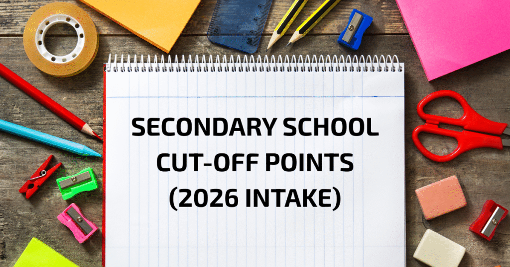How Much Do School Fees Cost in Singapore's Schools? (2024)